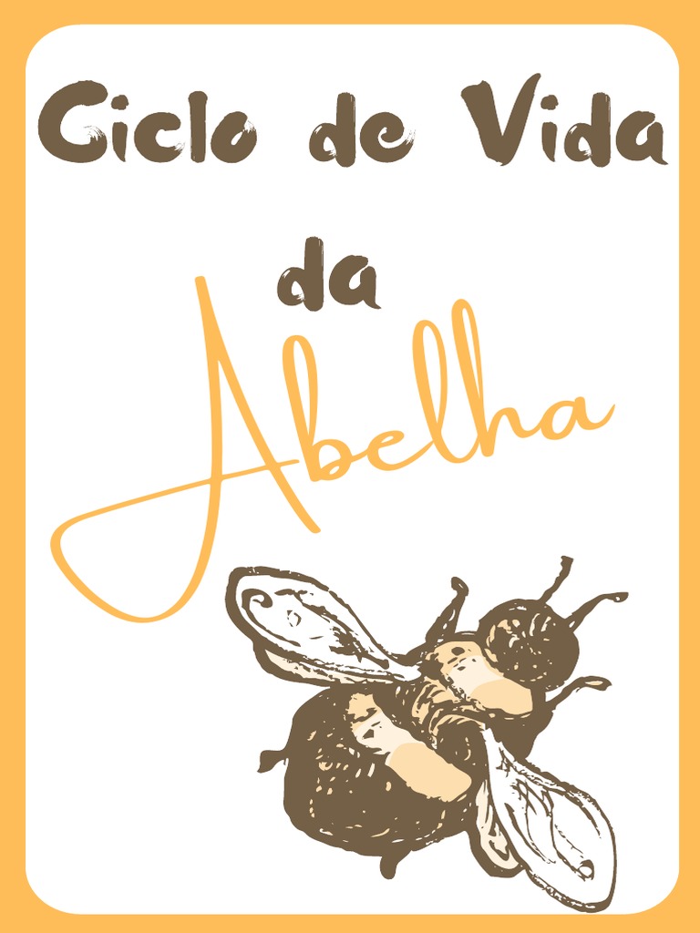 Ciclo De Vida Das Abelhas A Abelha: Ciclos Da Vida | Amazon.com.br