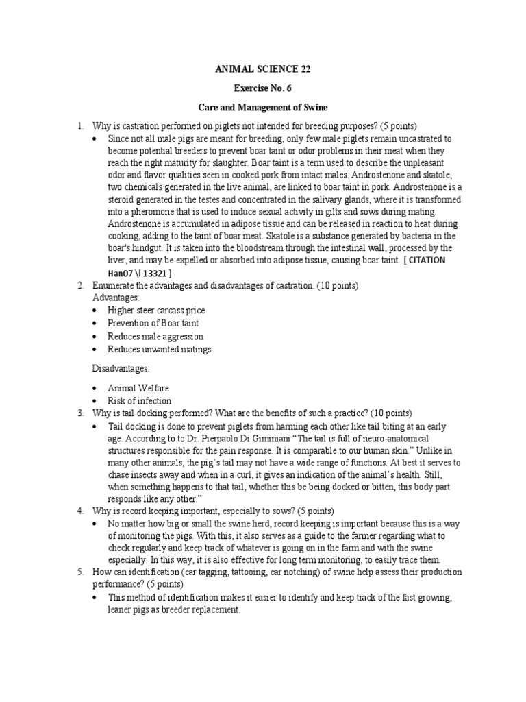 Swine Care: Castration, Docking, and Records | PDF | Domestic Pig | Zoology