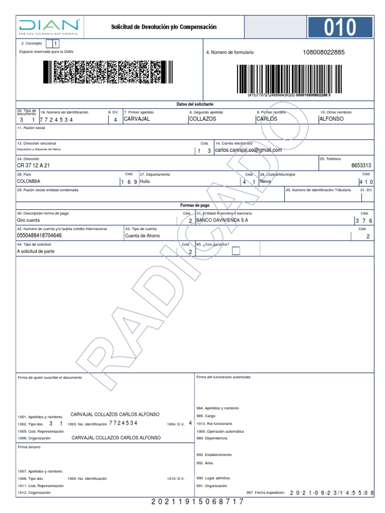 Formato DIAN 1 | PDF