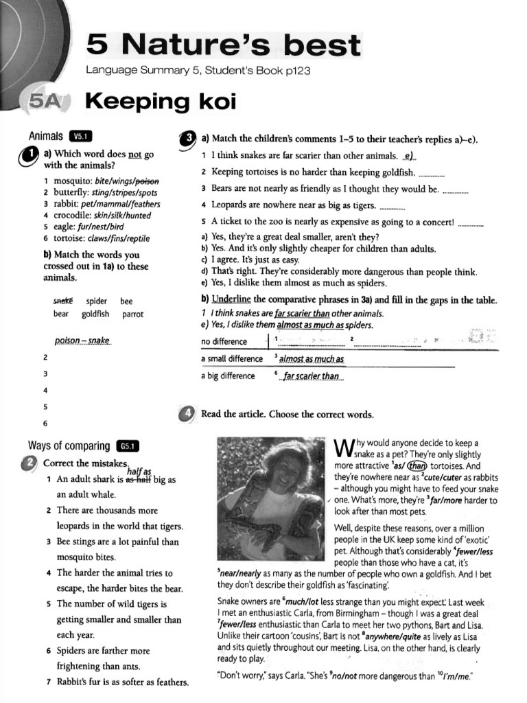 Comparatives F2F WB | PDF