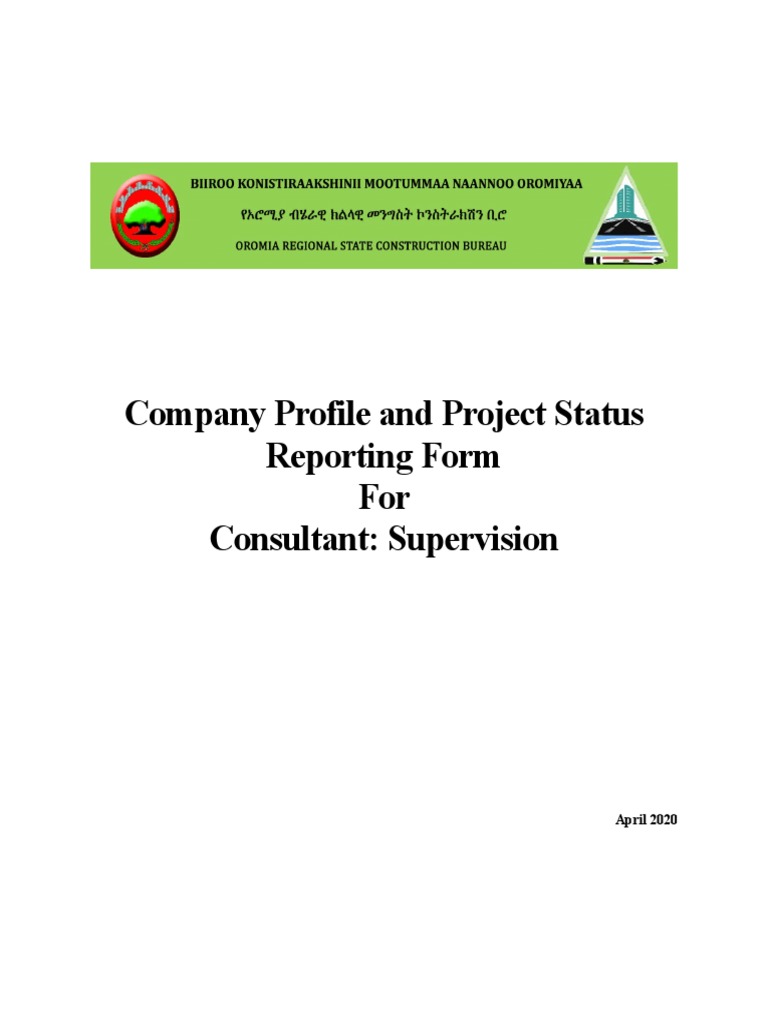 Profile and Project Status Reporting Form Consultant Supervision | PDF ...
