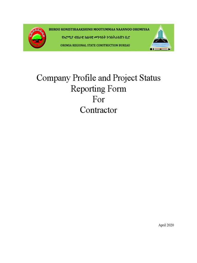 Profile and Project Status Reporting Form - Contractor | PDF | Balance ...
