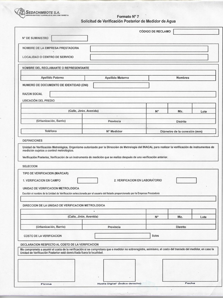 Formato 7 | Pdf