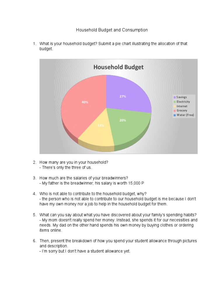Household Budget and Consumption | PDF