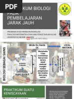 Panduan Laboratorium Maya dan PhET | PDF
