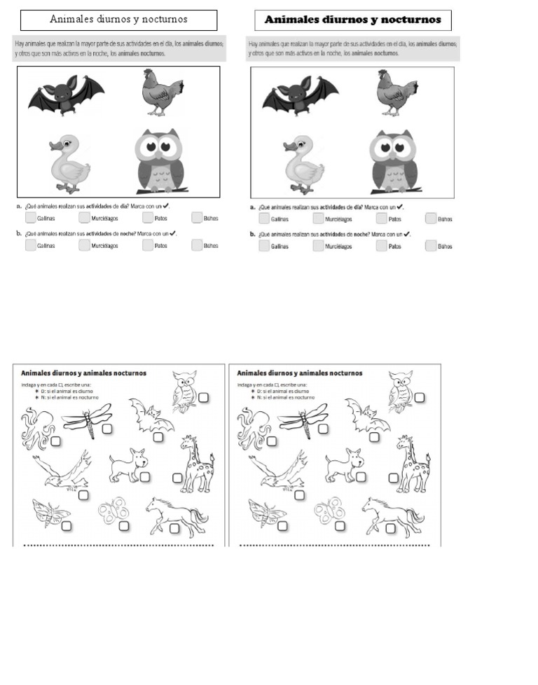Animales Nocturnos | PDF