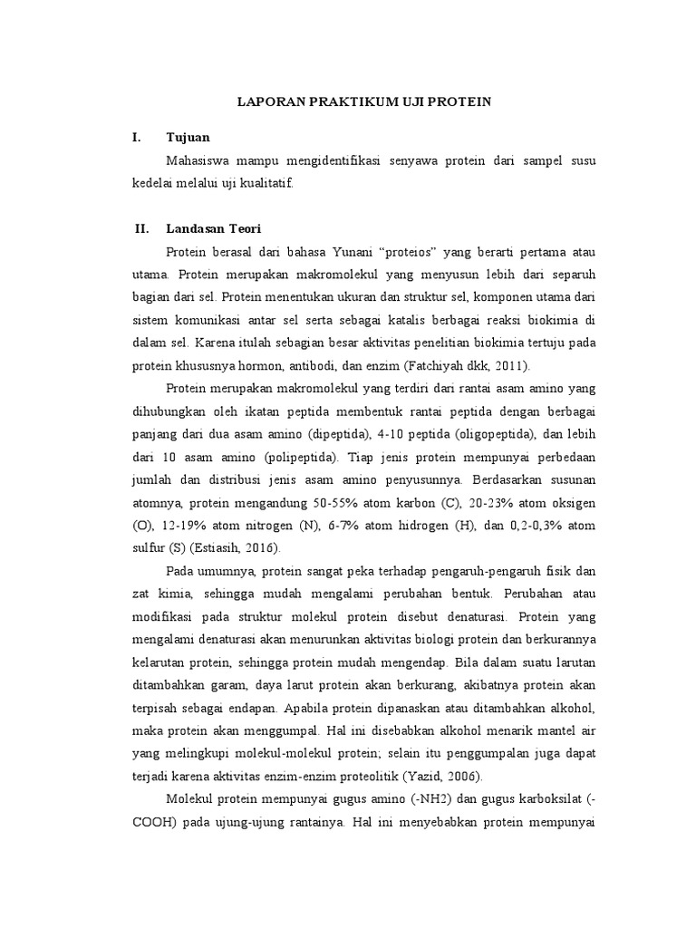 Laporan Praktikum Uji Protein | PDF