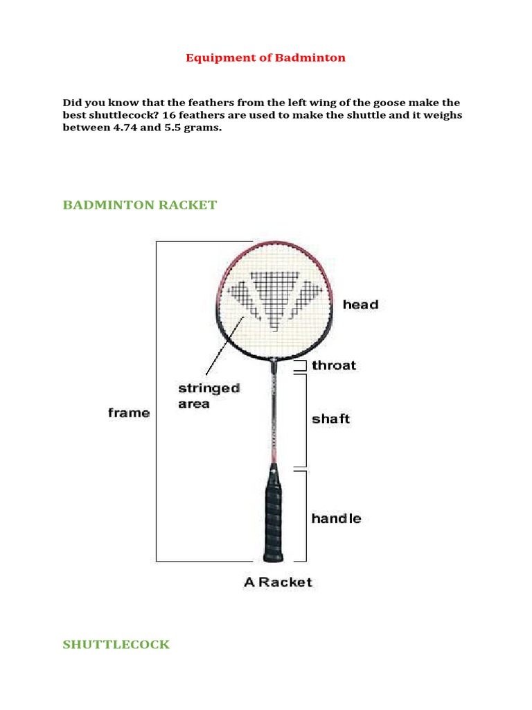 3 Equipment of Badminton | PDF | History