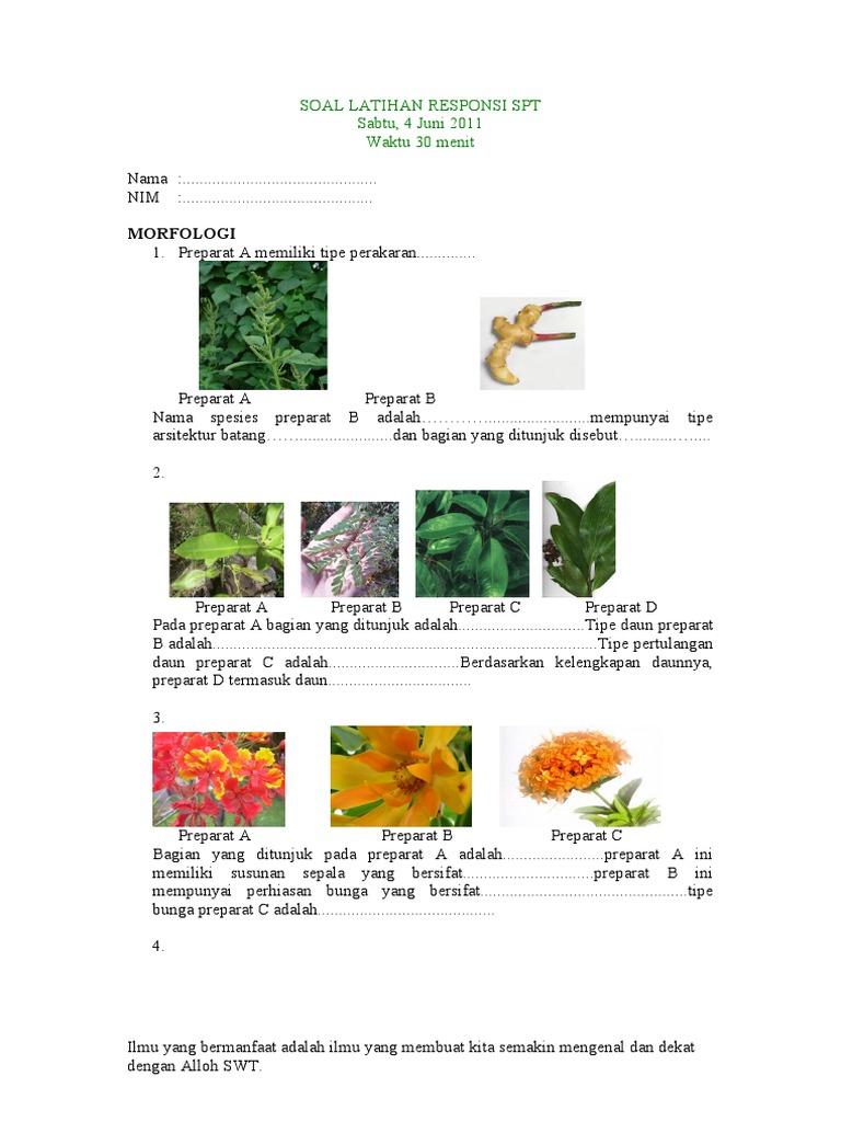 SOAL LATIHAN RESPONSI SPT Tuk Praktikan | PDF