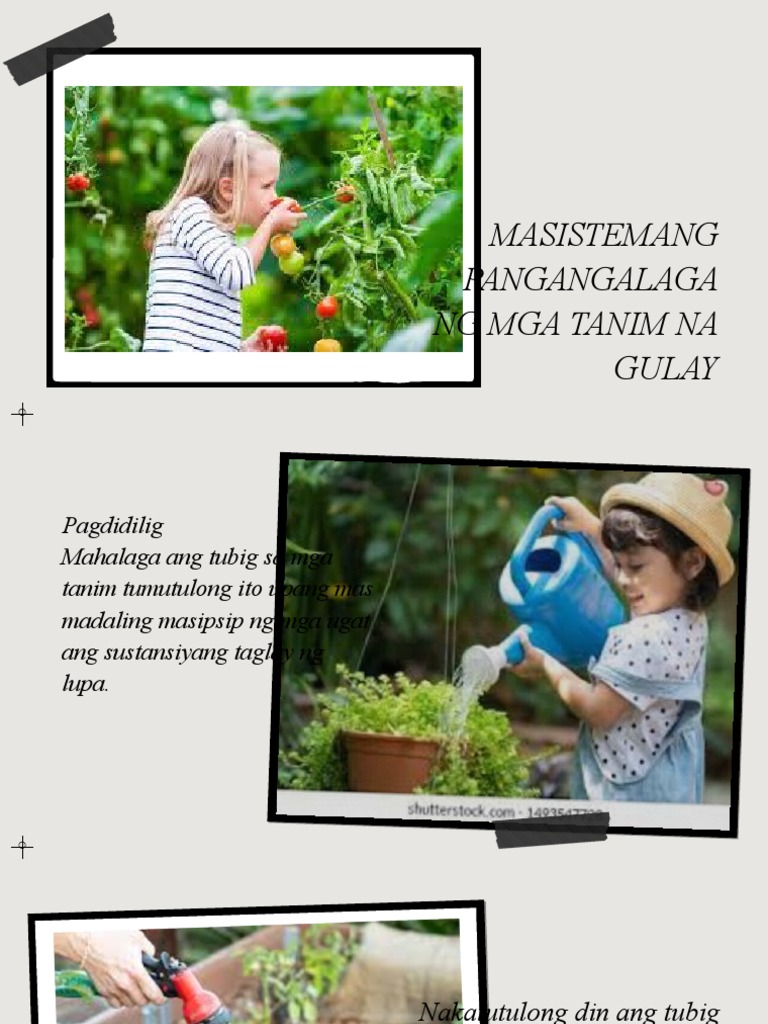 Pagdidilig | PDF