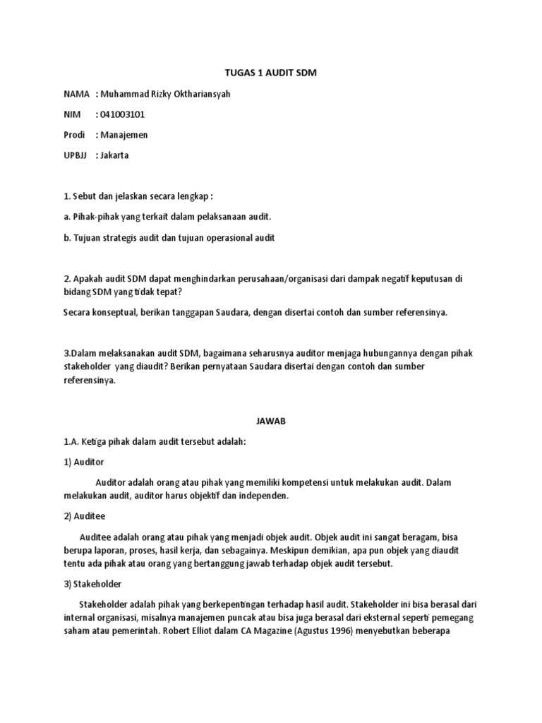 Tugas 1 Audit SDM | PDF