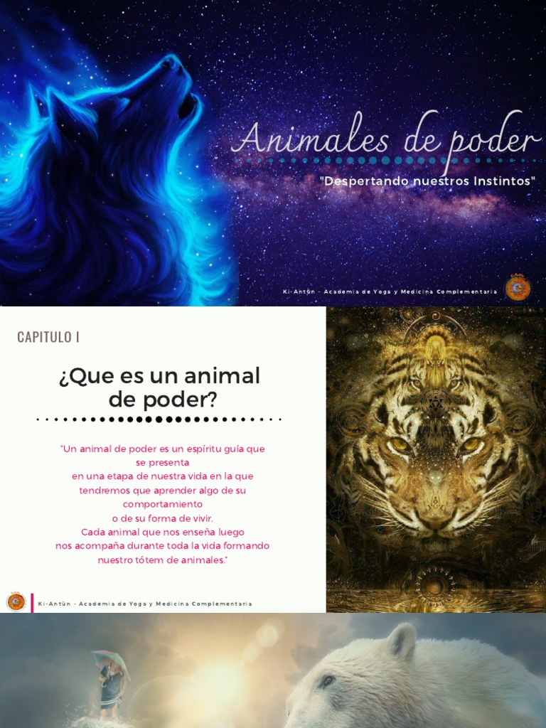 Animales de Poder | PDF | Yoga | Alma