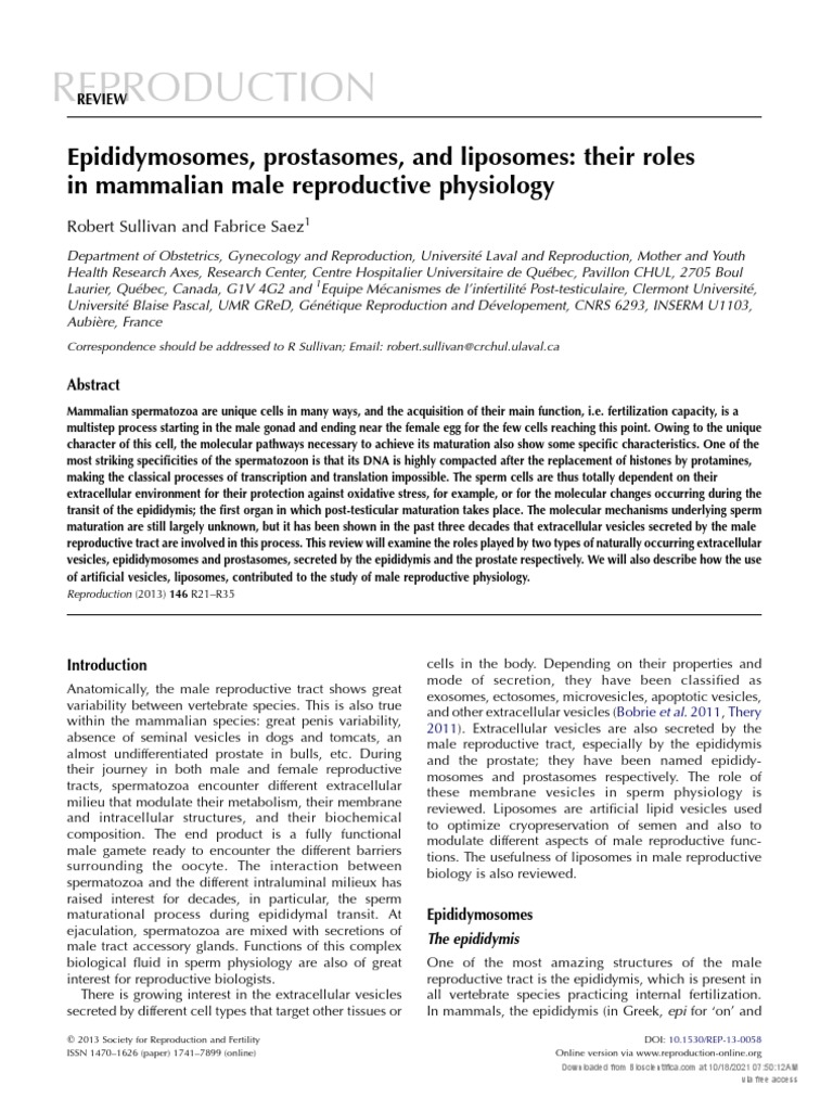 (17417899 - Reproduction) Epididymosomes, Prostasomes, and Liposomes ...