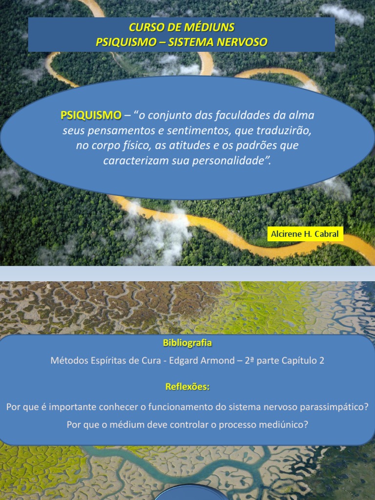Aula 19 - PSIQUISMO - Sistema Nervoso | PDF | Neurônio | Sistema nervoso