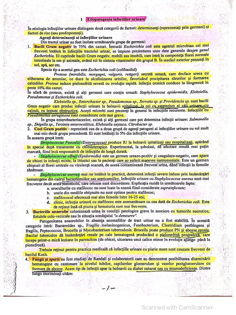 Infectii Urinare | PDF