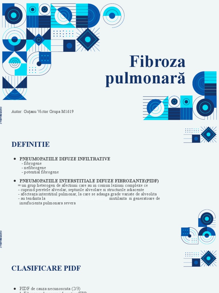 Fib Roza | PDF