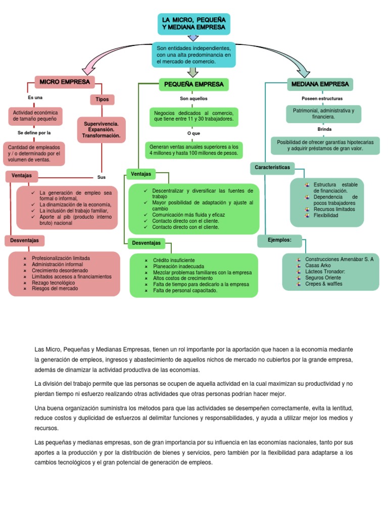La Micro, Pequeña y Mediana Empresa | PDF | Pequeñas y medianas ...