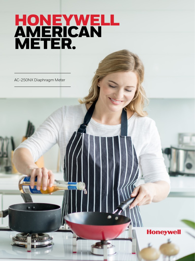American Meter.: Honeywell | PDF | Pressure | Pressure Measurement