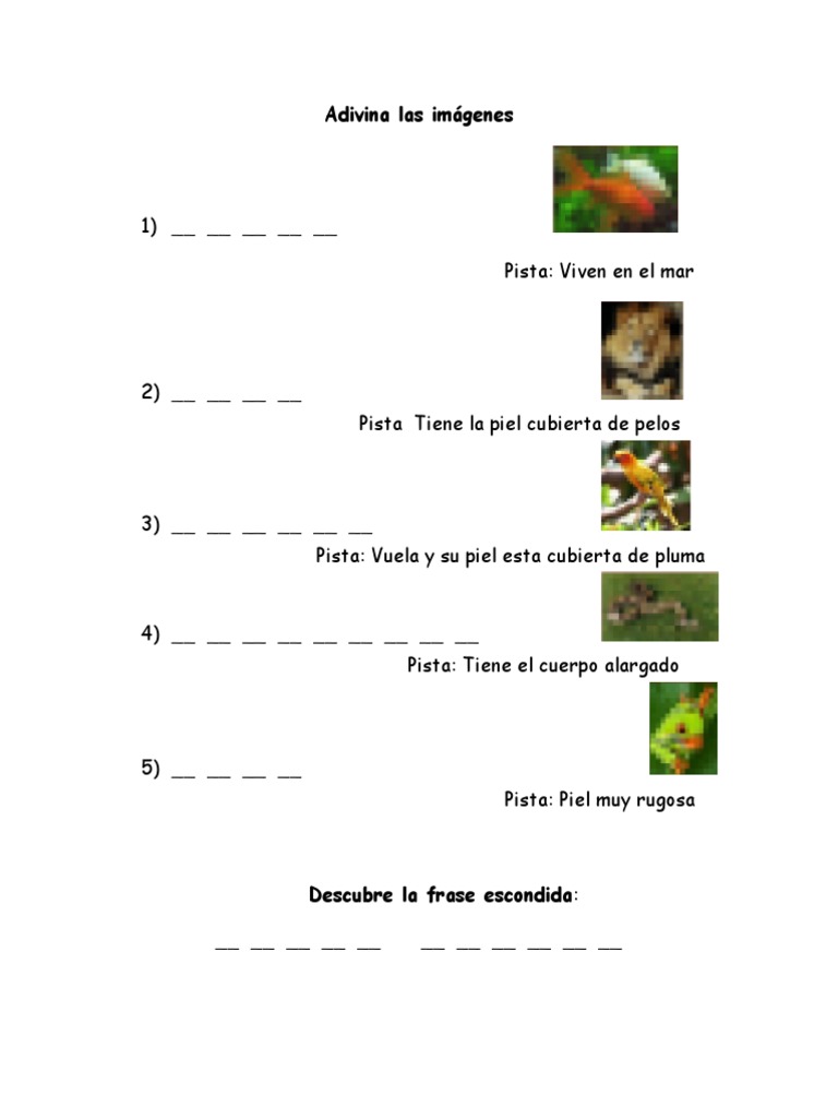 Adivina Las Imágenes | PDF