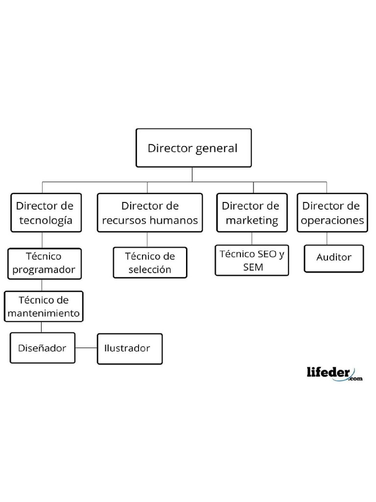 Organigrama Mixto | PDF