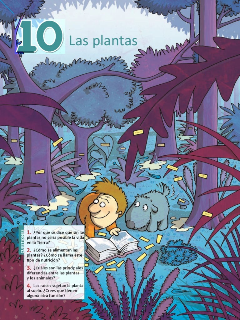 Cartilla Las Plantas - Flora | PDF | Flores | Raíz