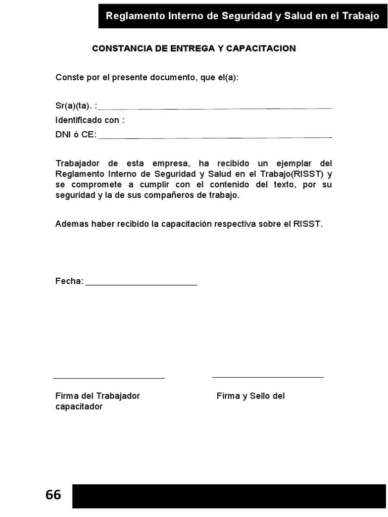 Constancia de Entrega y Capacitación RISST | PDF | Crecimiento personal y profesional | Negocios