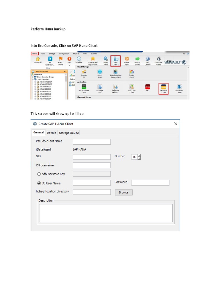 Backup Restore Procedure | PDF