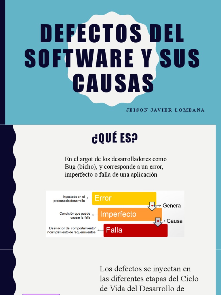 Defectos Del Software y Sus Causas | PDF | Negocios