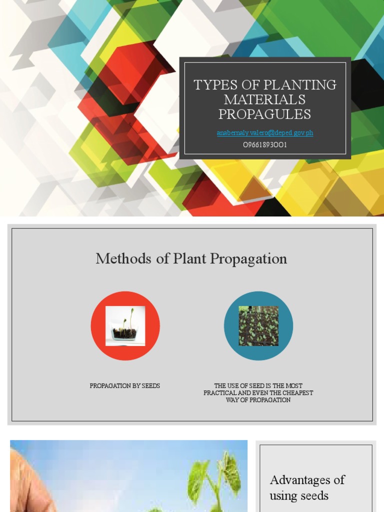Types of Planting Materials Propagules | PDF | Seed | Agriculture