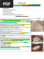 Microglosia y Macroglosia | PDF | Inflamación | Lengua
