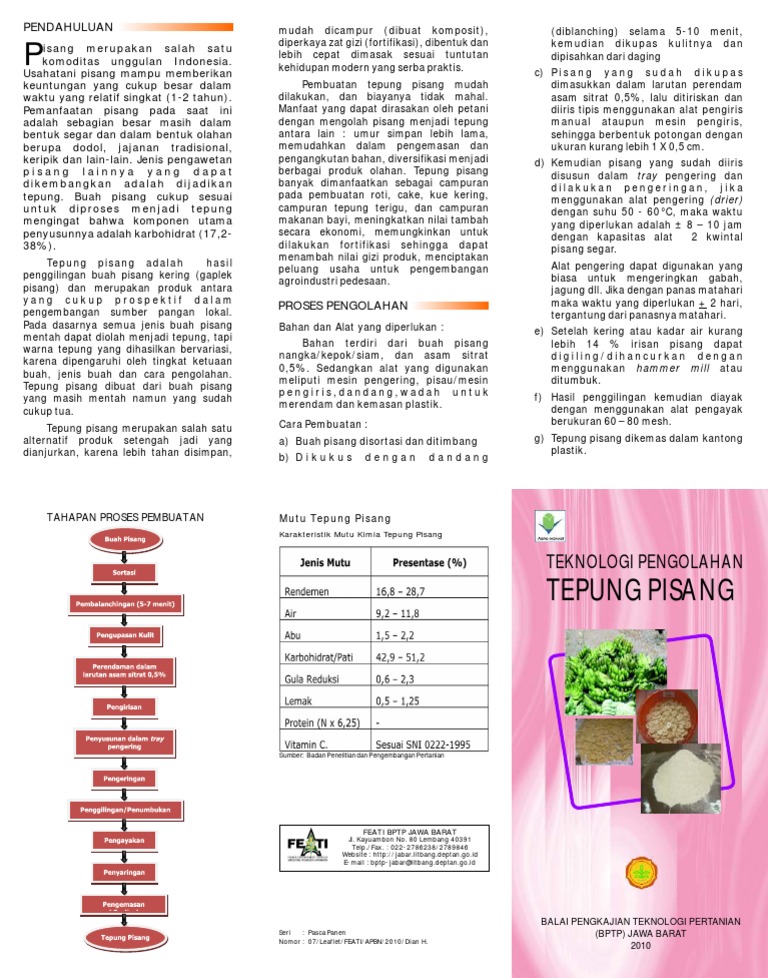 Teknologi Pengolahan Tepung Pisang | PDF