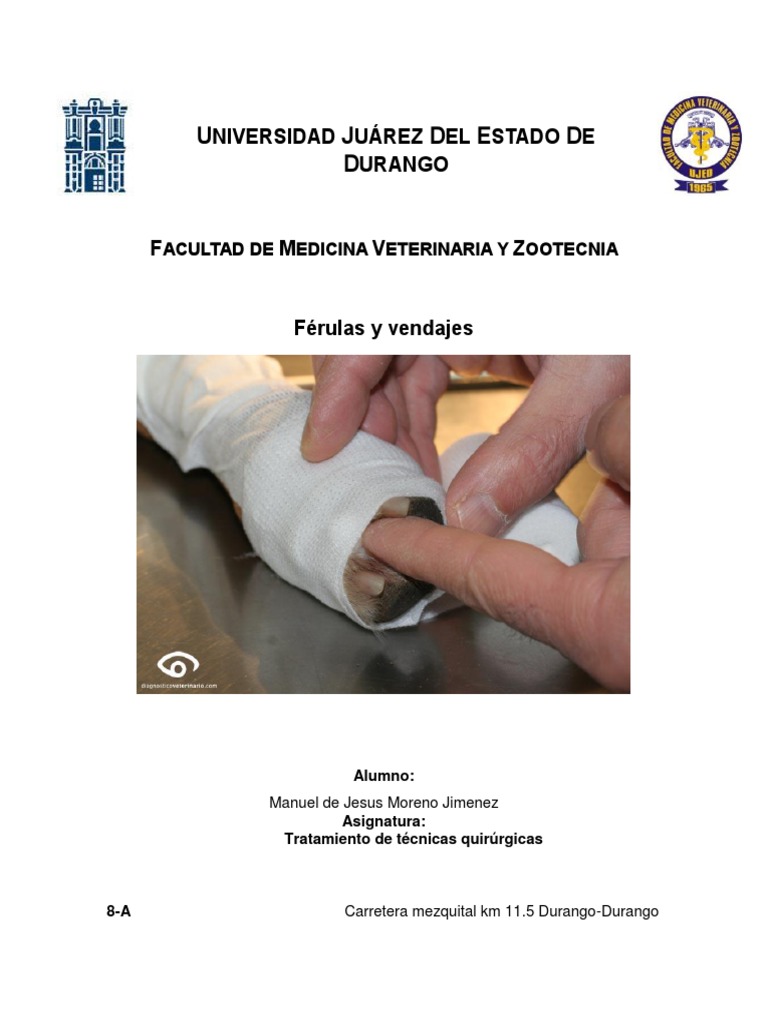 Vendajes y Férulas en Equinos | PDF | Hombro | Rodilla
