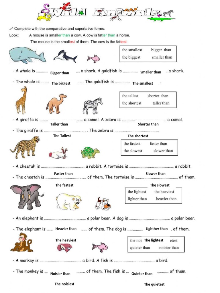 Animals Comparison | PDF