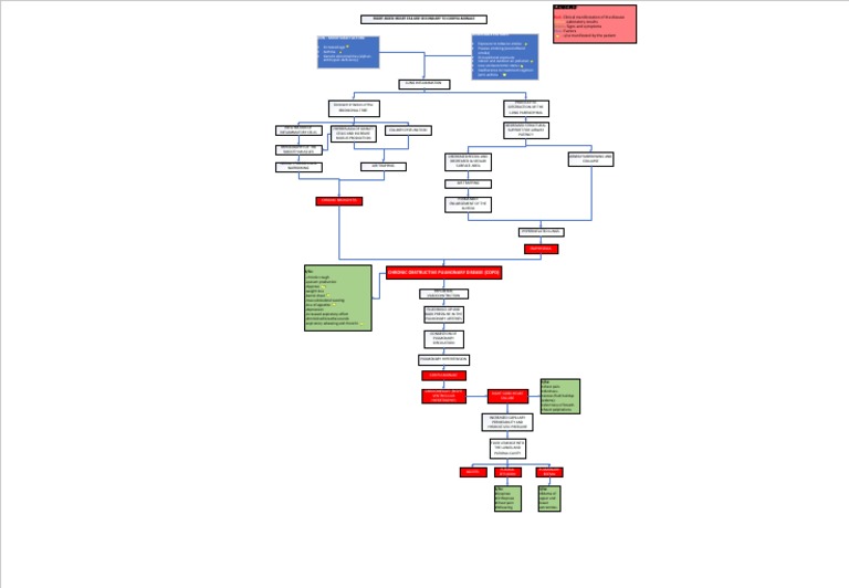 Cor-Pulmonale Pathophysiology | PDF | Lung | Respiratory Tract