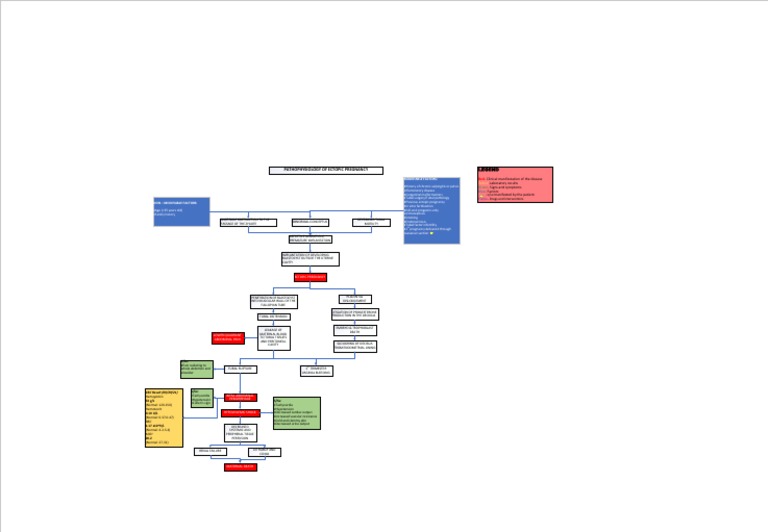 Ectopic Pregnancy Pathophysiology Overview | PDF | Diseases And ...
