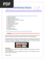Pruebas Bioquímicas de Citrobacter Freundii | PDF
