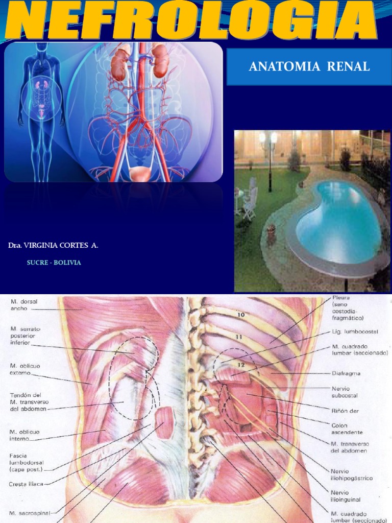 Combinar Resultado Completo Nefro | PDF | Angiotensina | Riñón