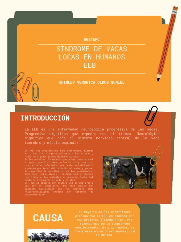 Sindrome de Vacas Locas en Humanos EEB: Unitepc | PDF | Epidemiología ...