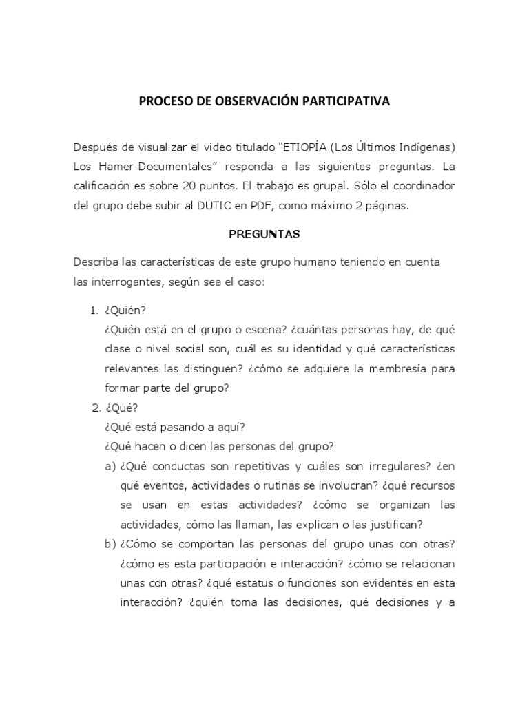 Práctica Nro 7. Proceso de Observación Participativa. | PDF | Cognición