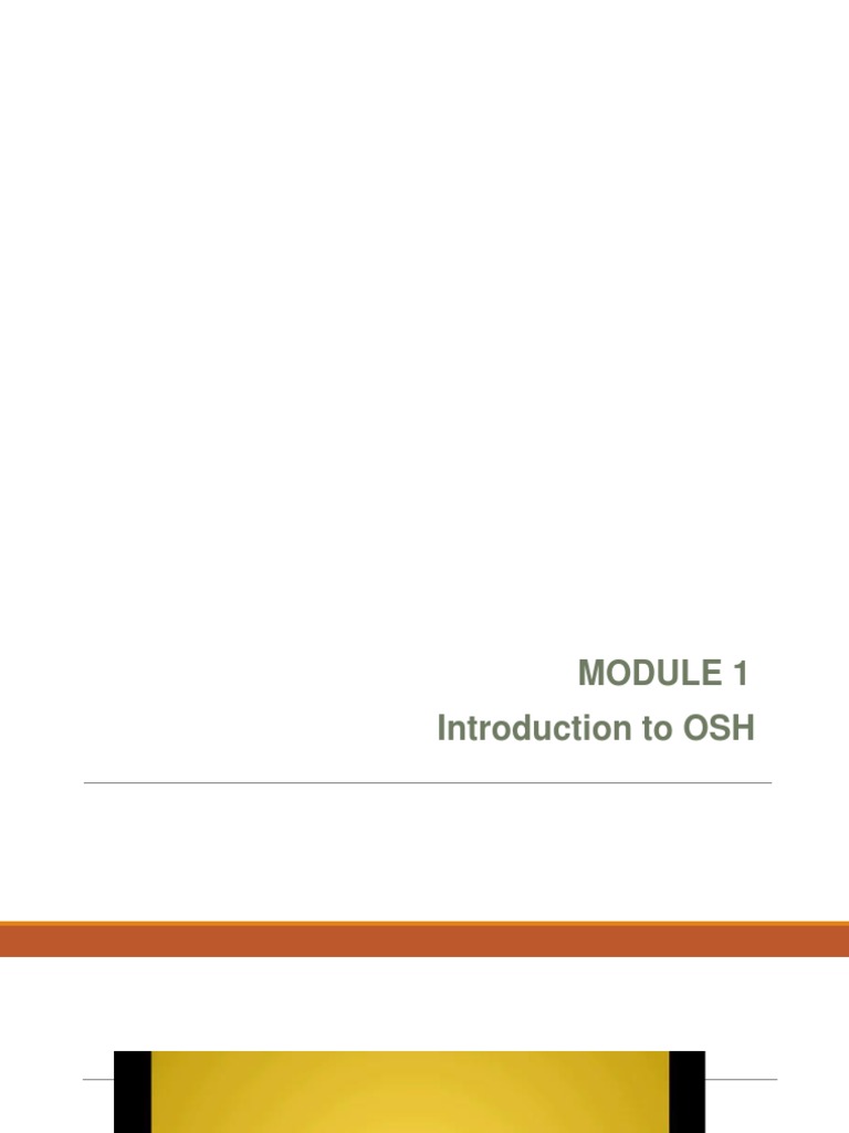 Introduction to OSH Standards | PDF | Occupational Safety And Health ...