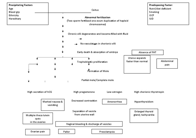 Precipitating Factors Predisposing Factor | PDF | Diseases And ...