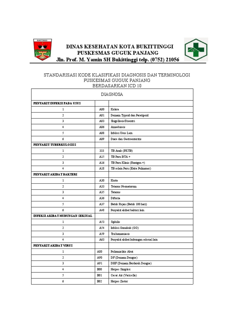 Standarisasi Kode Klasifikasi Diagnosis Dan Terminologi | PDF
