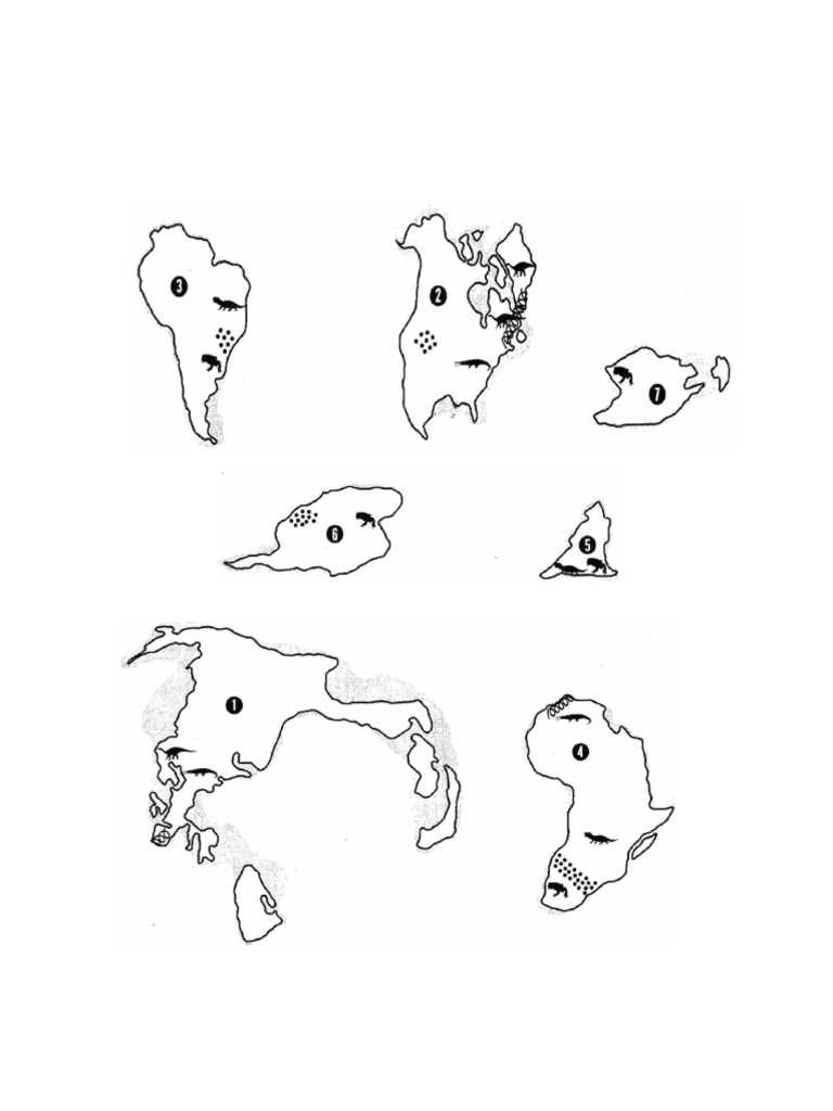 Pangea Puzzle With Directions 2020 | PDF