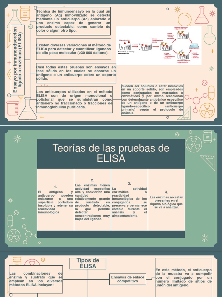 Organizador Gráfico ELISA | Descargar gratis PDF | Elisa | Anticuerpo