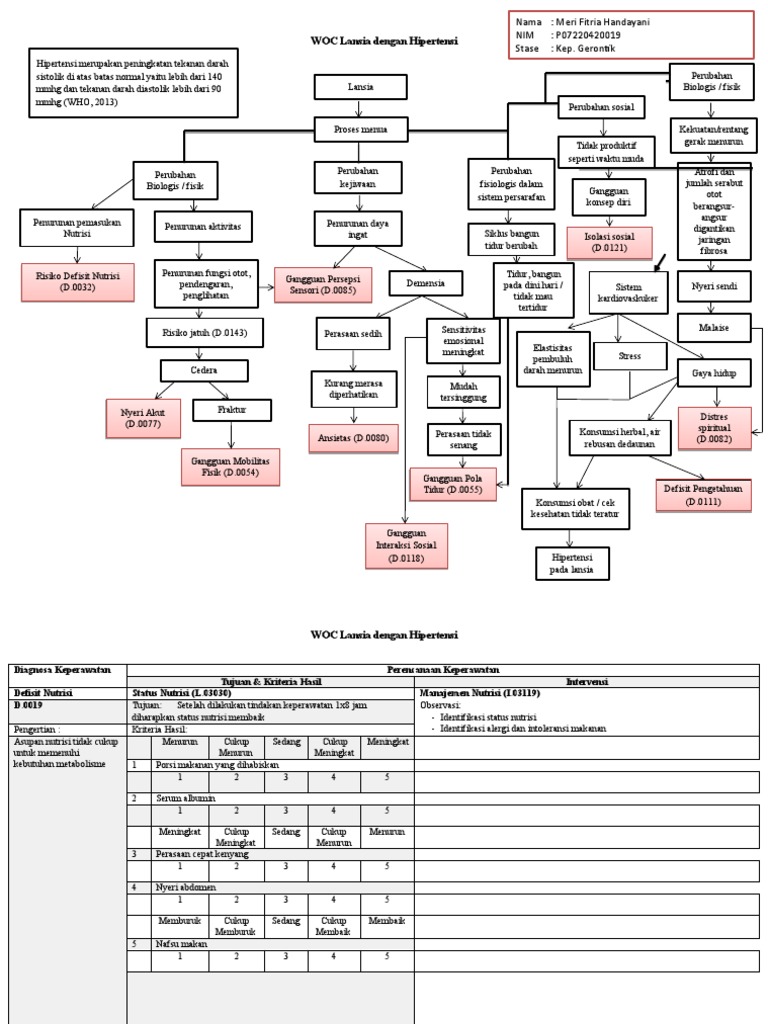 Woc HT Kep. Gerontik | PDF