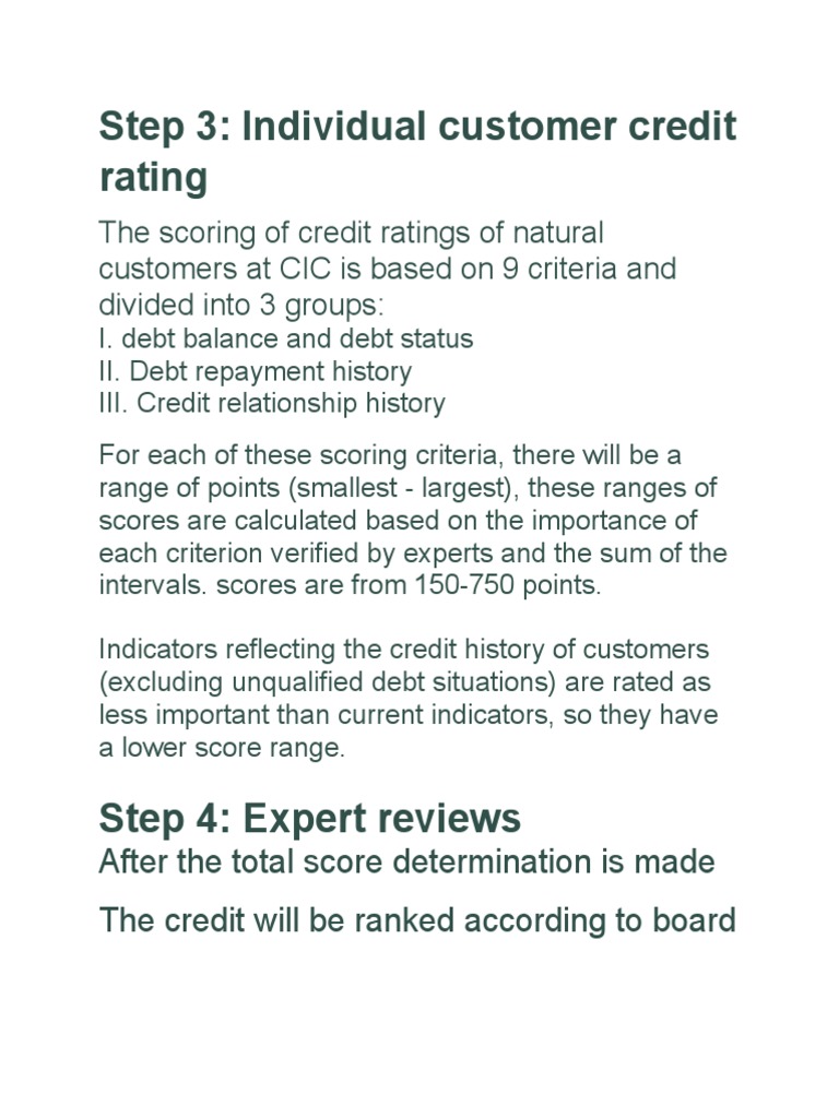 Step 3: Individual Customer Credit Rating | PDF | Credit | Finance ...