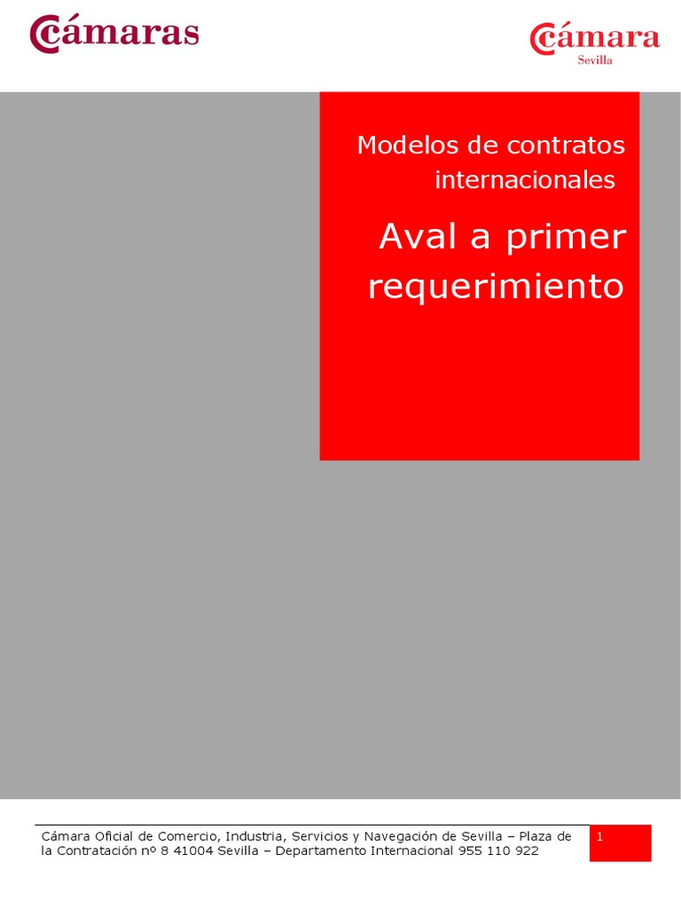 Modelo-de-Aval A Primer Requerimiento | Descargar gratis PDF | Justicia | Crimen y violencia