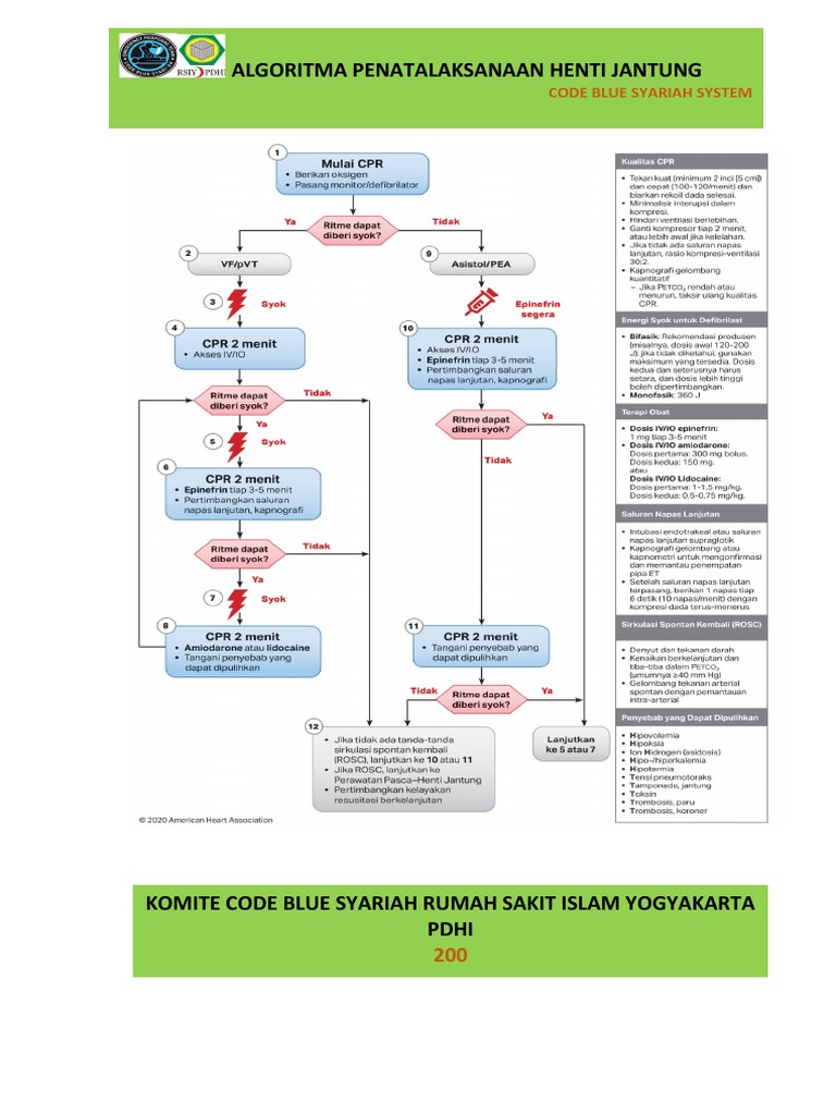 Algoritma Code Blue | PDF