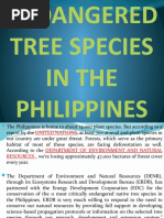 Molave Tree: Benefits and Growing Guide | PDF | Trees | Plants