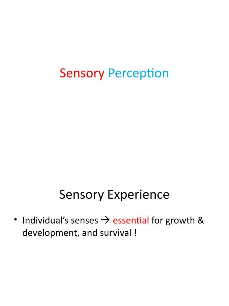 Sensory Perception | PDF | Perception | Senses
